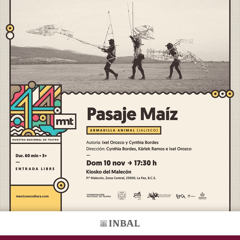 Pasaje Maíz: la contemplación de gigantes de carrizo. Entrevista a ...